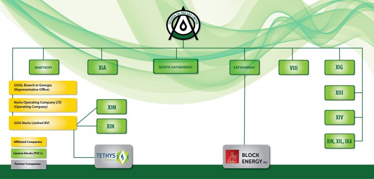Company Structure and Partners – Georgia Oil and Gas Limited