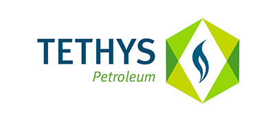 Company Structure and Partners – Georgia Oil and Gas Limited